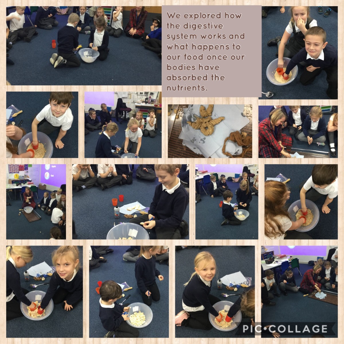 Our digestive system and making poo! – Worsbrough Common Primary School