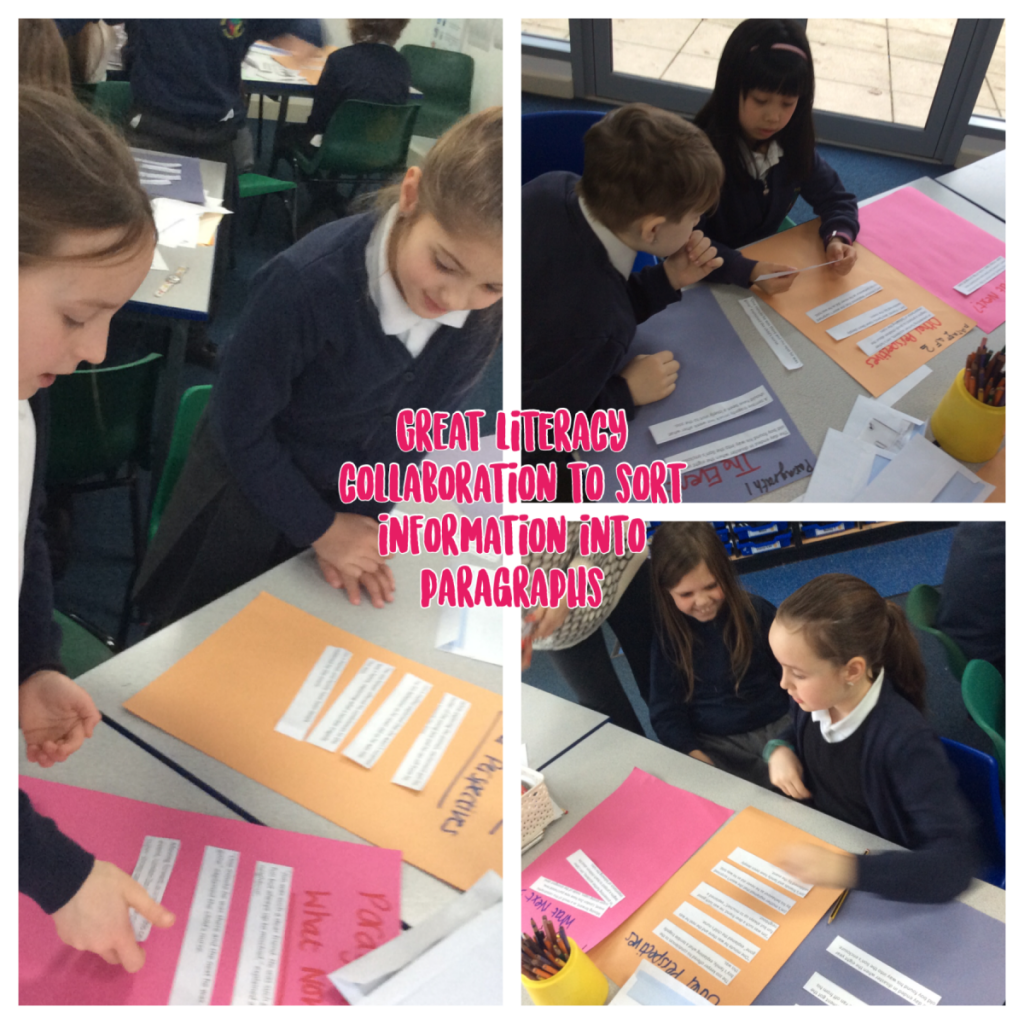 Sorting information into paragraphs – Worsbrough Common Primary School