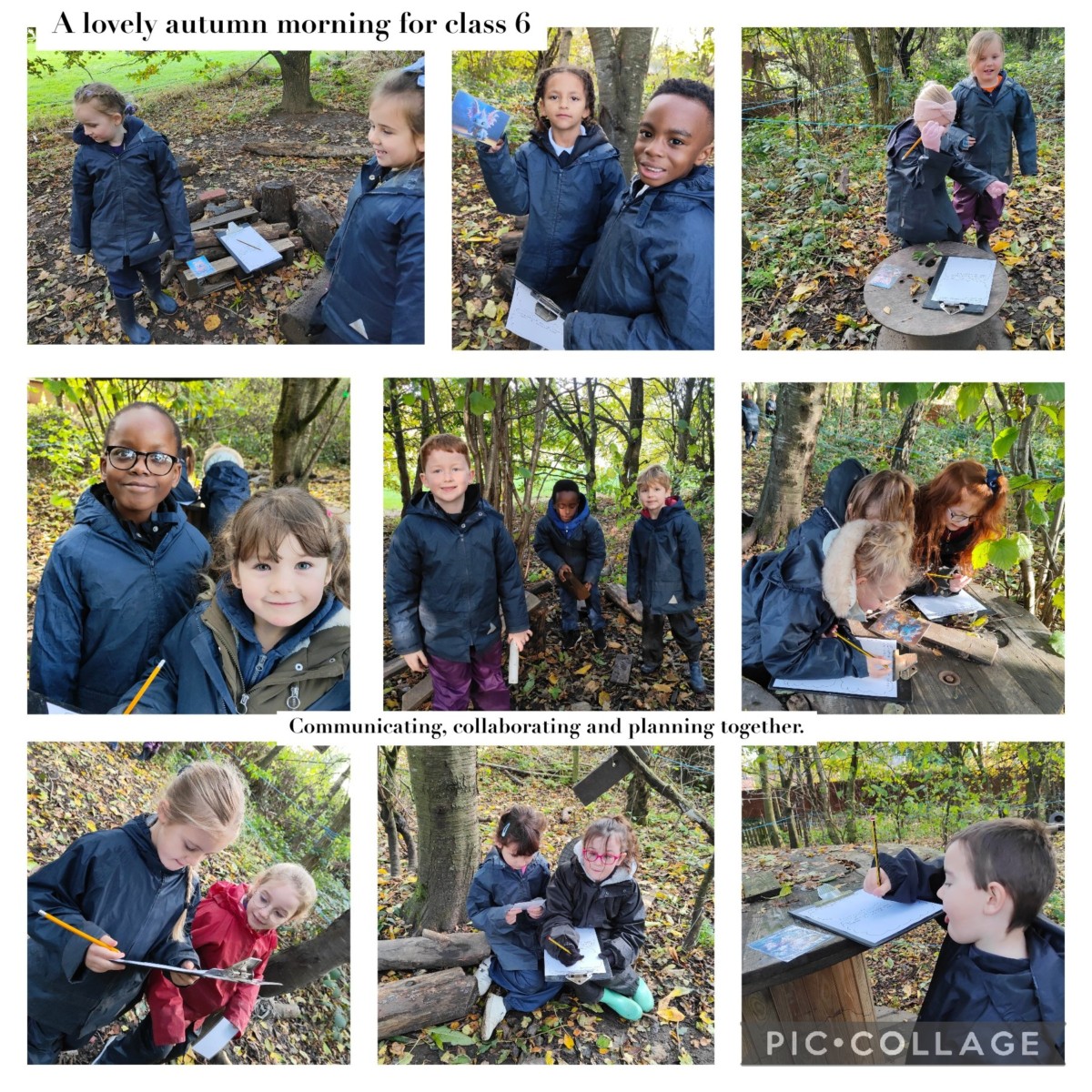 Year 2 habitats. – Worsbrough Common Primary School
